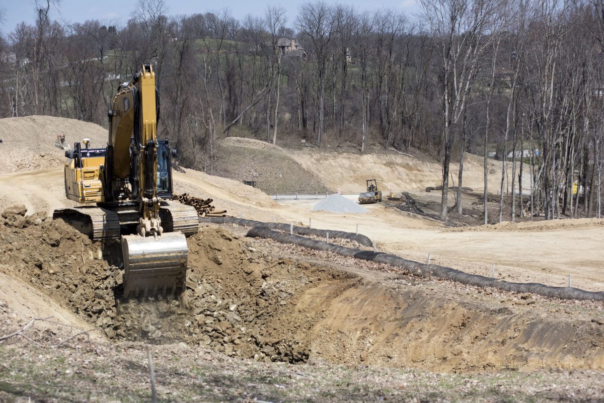 Washington Park project updates, just in time for spring - Observer ...